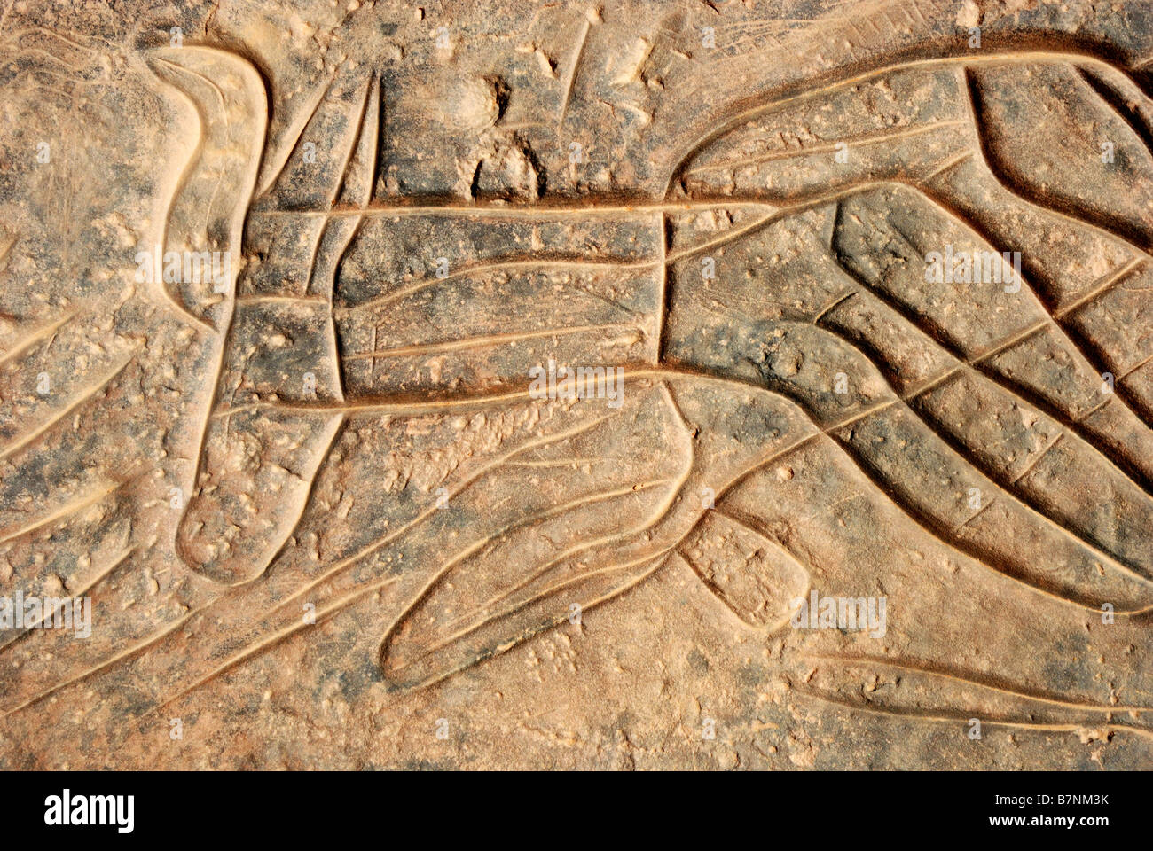 Rock engravings in Mesak Settafet (In Makhan Stock Photo - Alamy