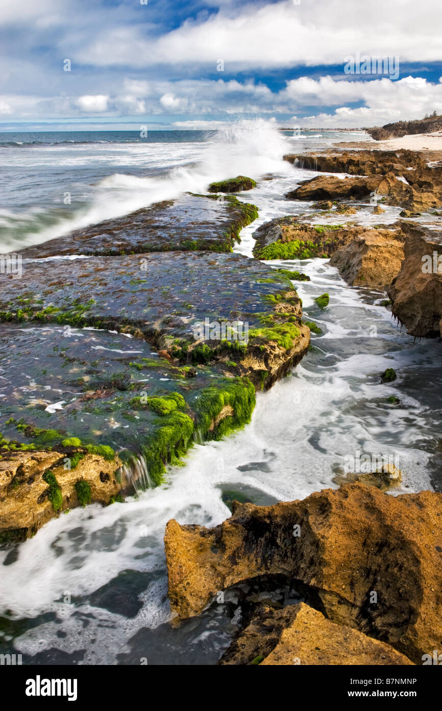 Limestone coast at North Beach in Perth, Western Australia. Erosion has ...