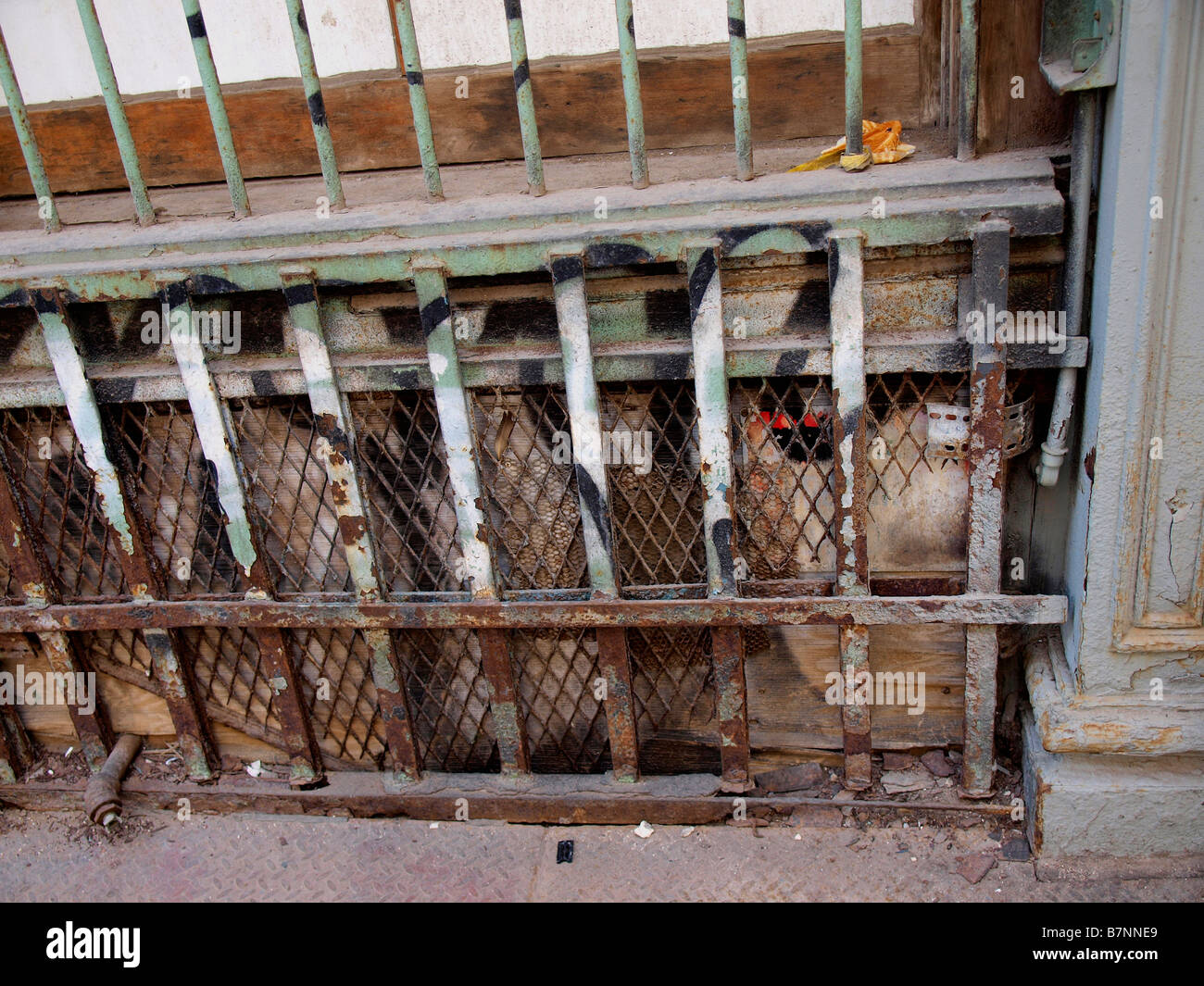 A just-above-ground window with bars or grating on an old run down ...
