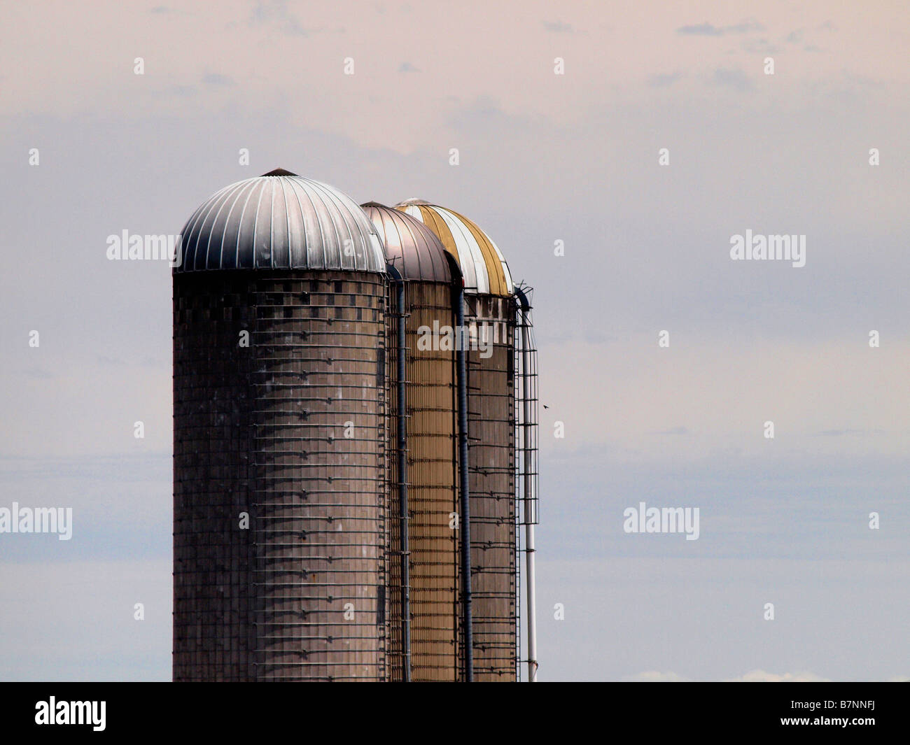 Giant silos hi-res stock photography and images - Alamy