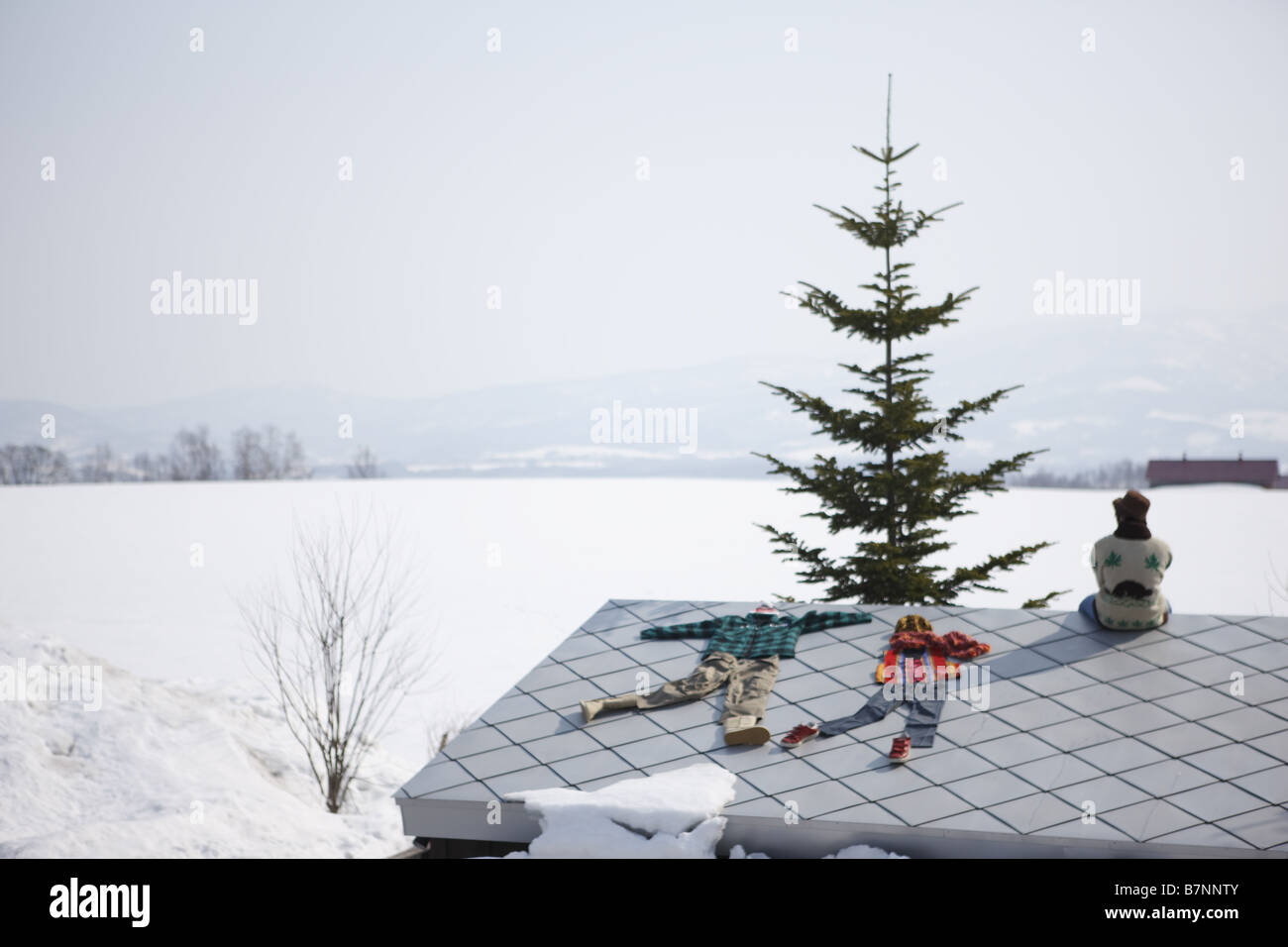 Man on a roof hi-res stock photography and images - Alamy