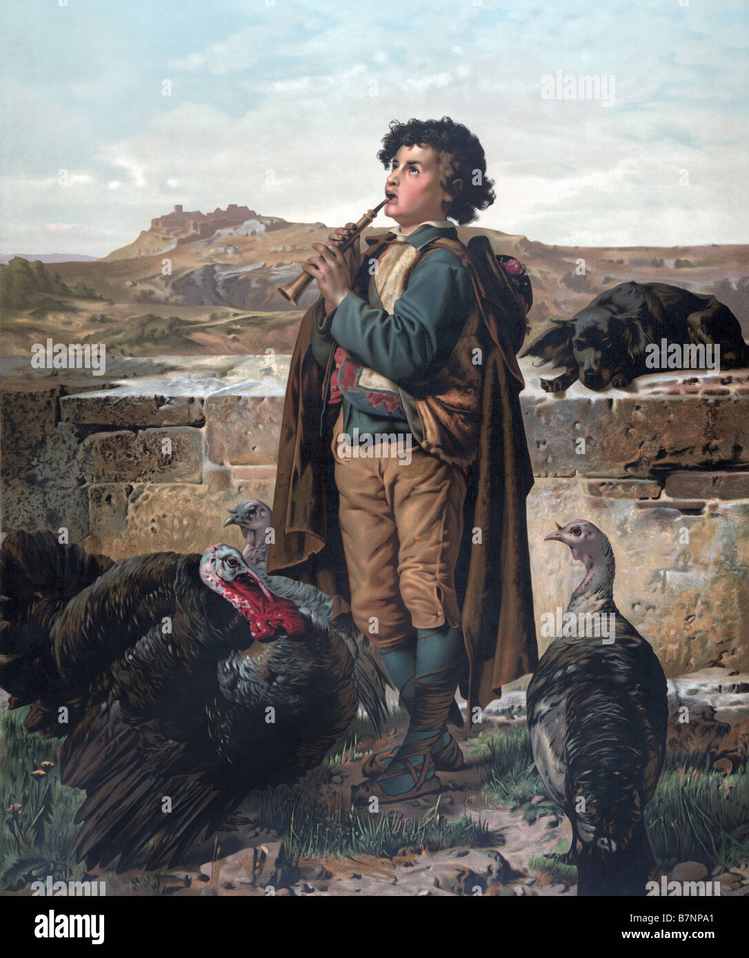 Gathering the Flock Stock Photo - Alamy