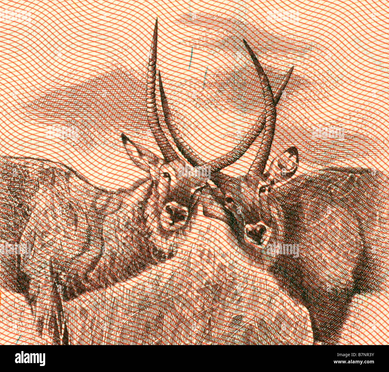 Angola currency hi-res stock photography and images - Alamy