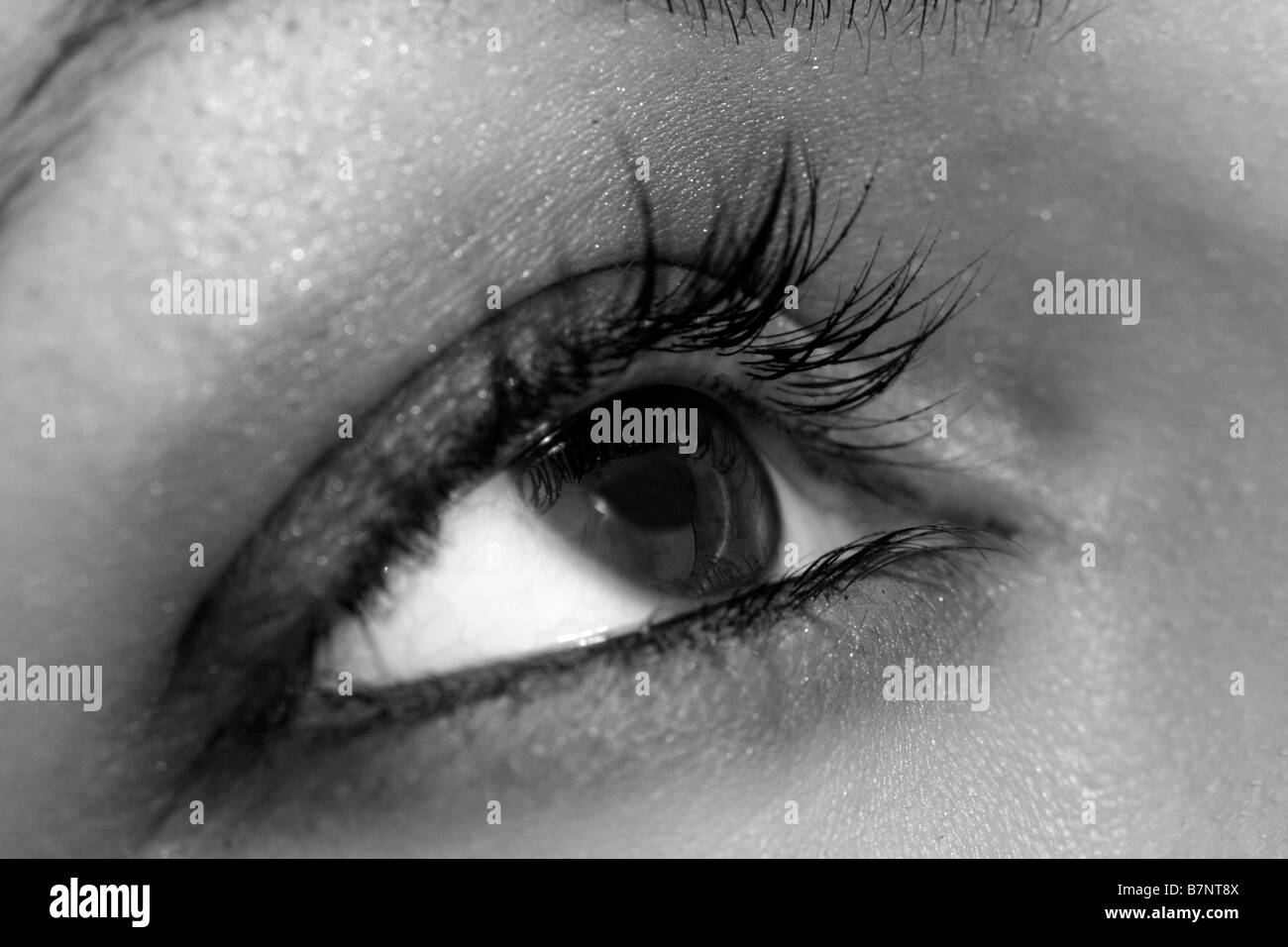Macro eyes close up Black and White Stock Photos & Images - Alamy