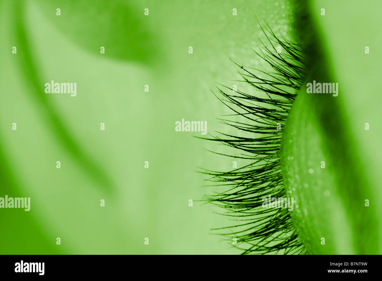 woman face with shut eyes Stock Photo - Alamy