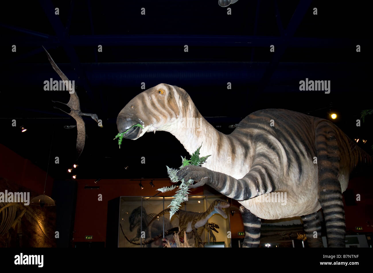 Dinosaur Isle, Sandown, Isle of Wight, England, UK, GB Stock Photo - Alamy