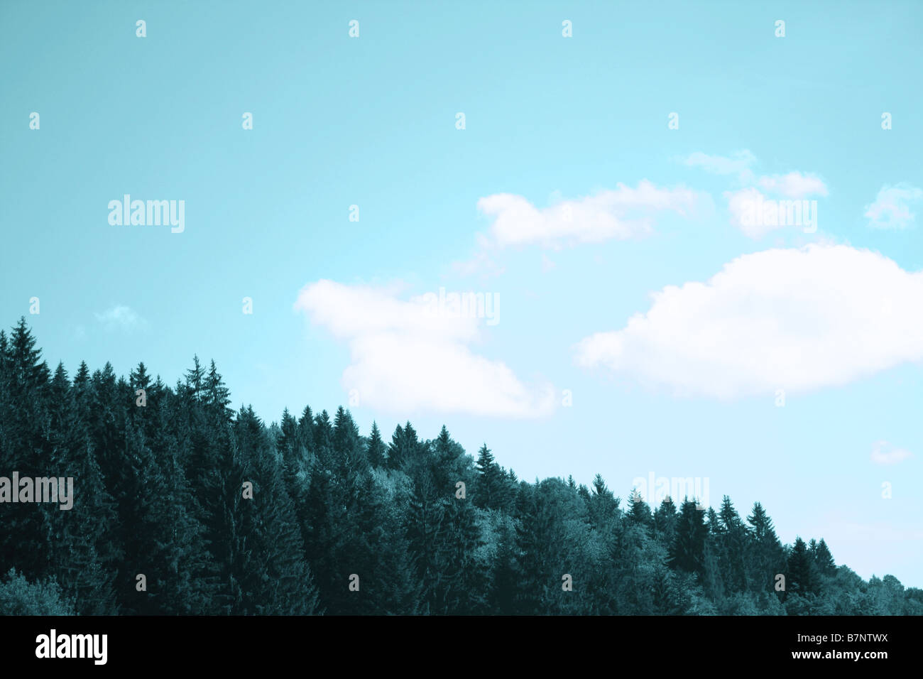 Beautiful country landscape view Great nature scene Stock Photo - Alamy