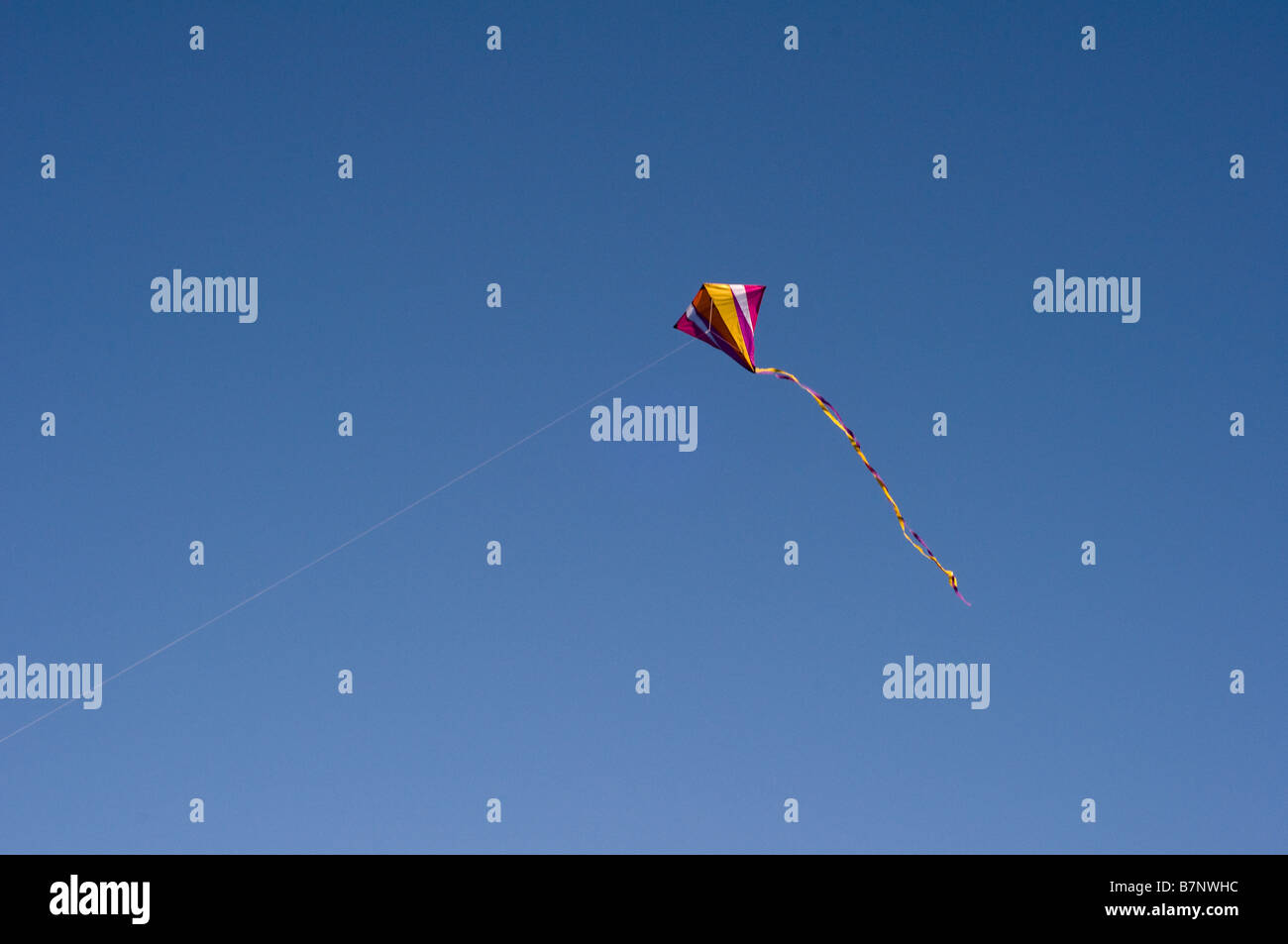 Kite in late afternoon fall sunshine Stock Photo - Alamy