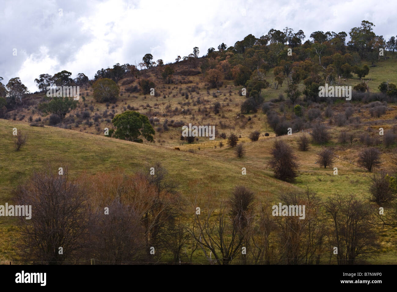 Country NSW hills Stock Photo - Alamy