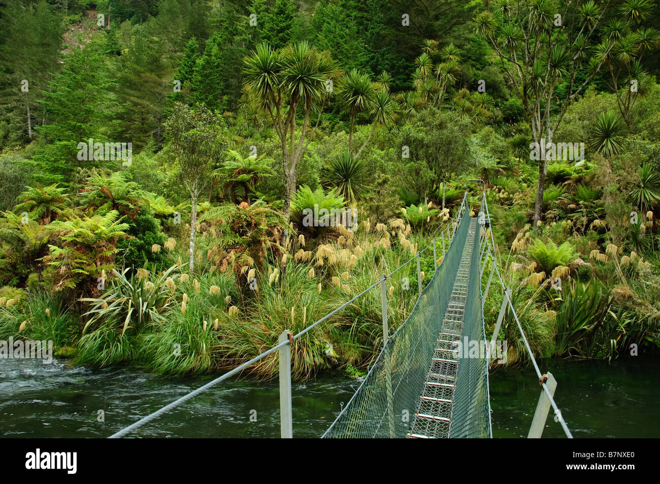 Hiking trail Bridge Stock Photo - Alamy