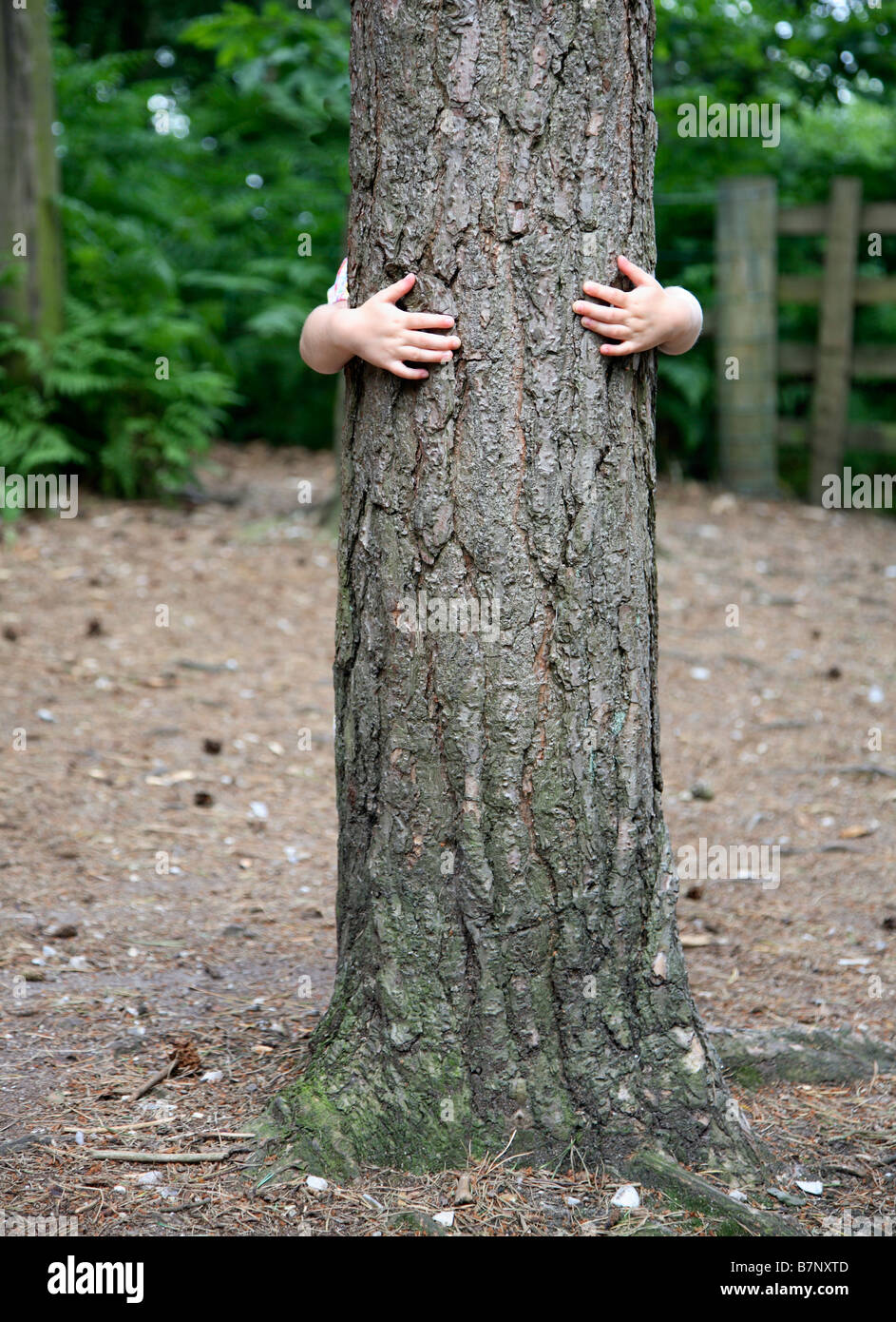 Child hugging a tree Stock Photo - Alamy