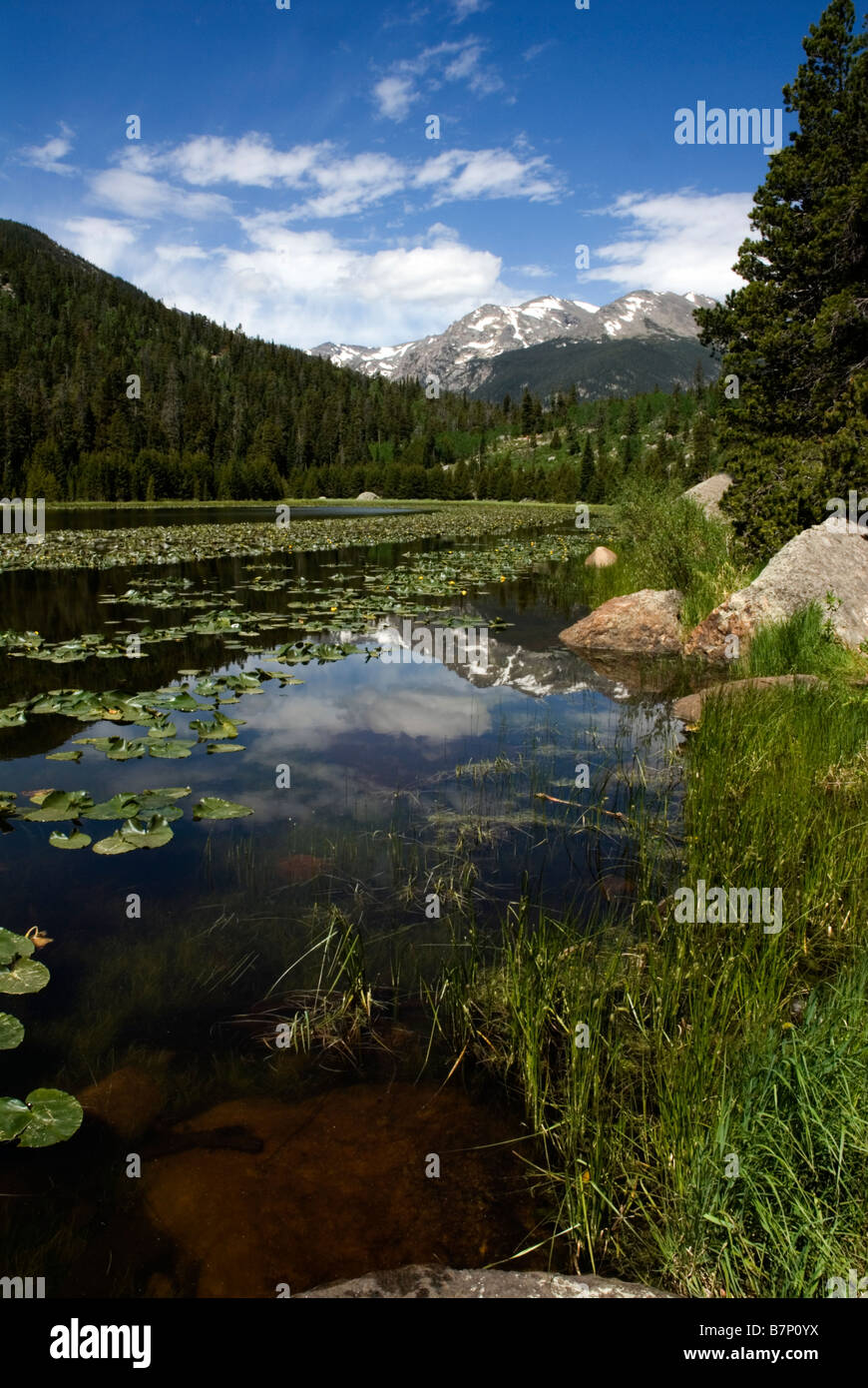 Cub Lake Rocky Mountain National Park Colorado usa Stock Photo - Alamy
