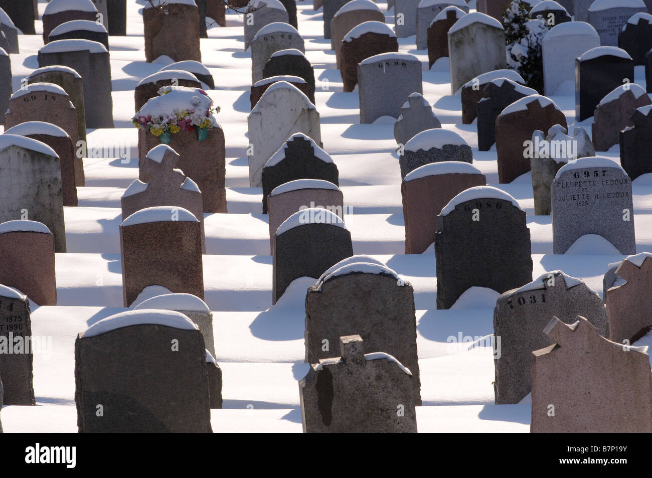 Cemetery headstones, tombstones, aligned and casting a perfect shadow ...