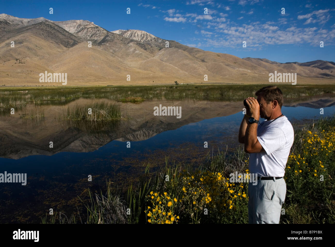 Man looking for birds Ruby Lakes NWR Nevada USA Summer Bird Watching ...