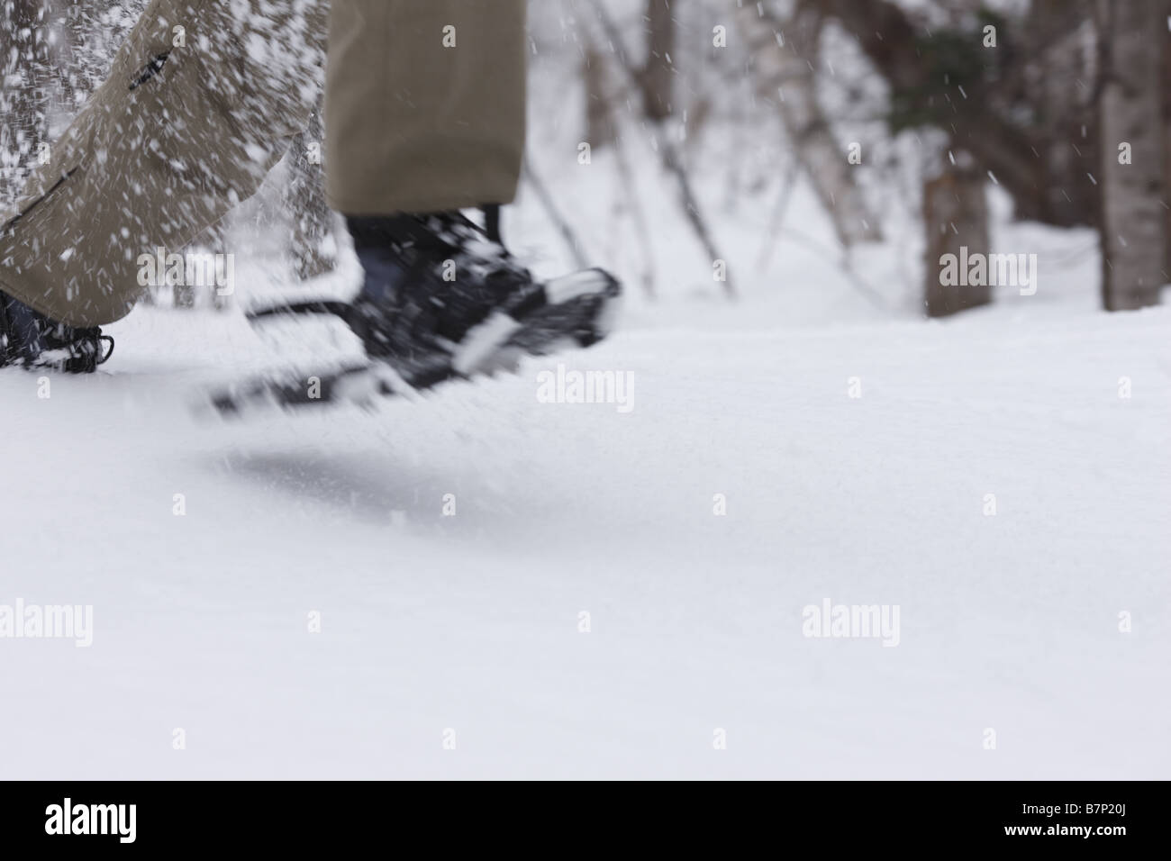 Snowshoe running hi-res stock photography and images - Alamy