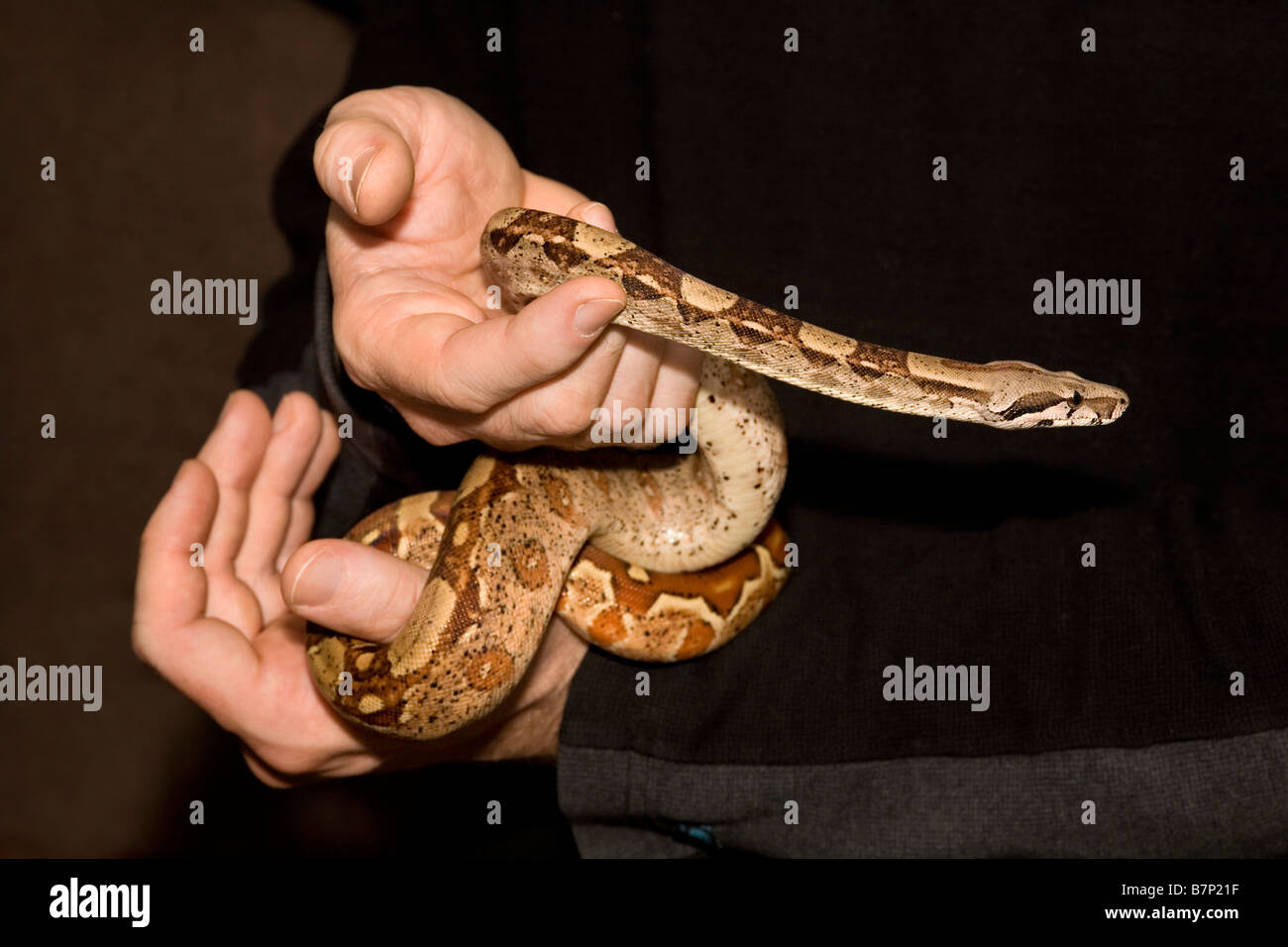 Snake Handling And Fire Handling