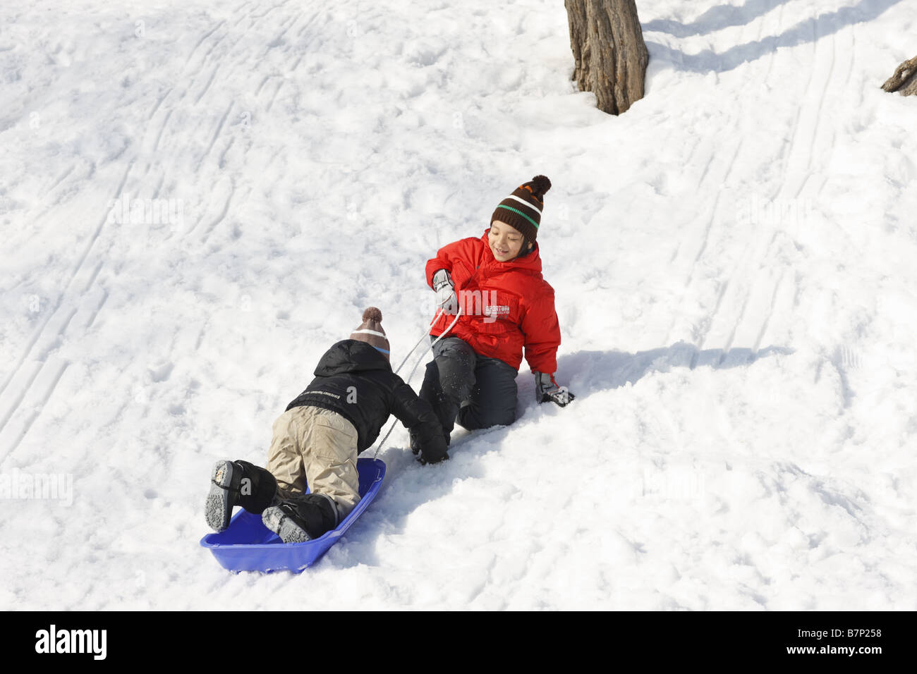 Children at play sledding Stock Photo - Alamy