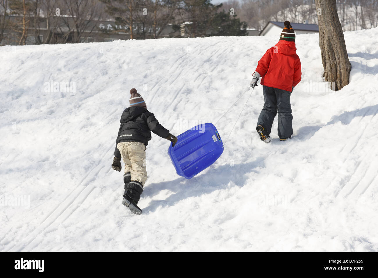 Children at play sledding Stock Photo - Alamy