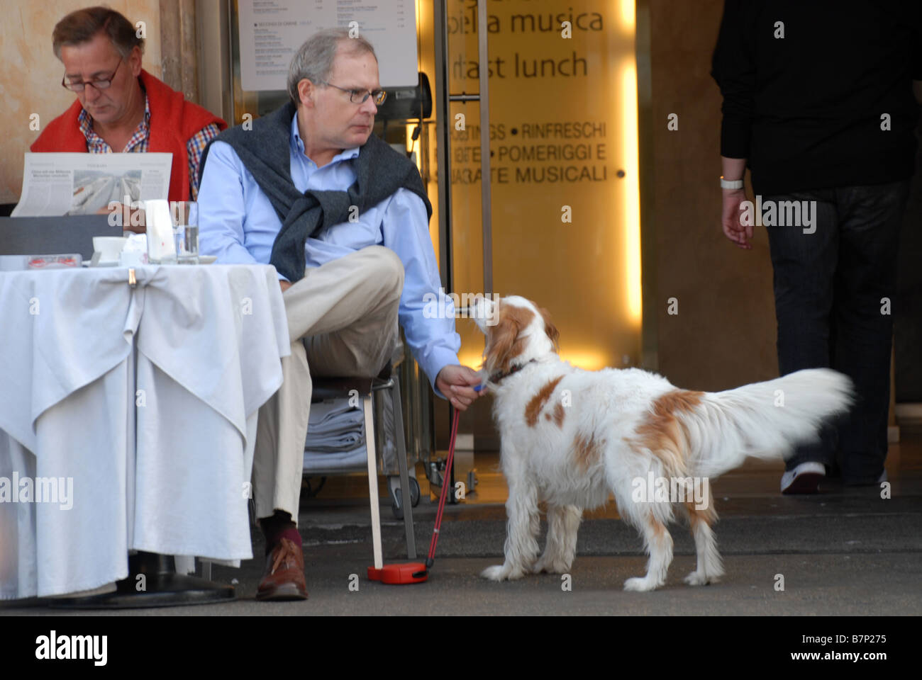 Cafe dog italy hi-res stock photography and images - Alamy