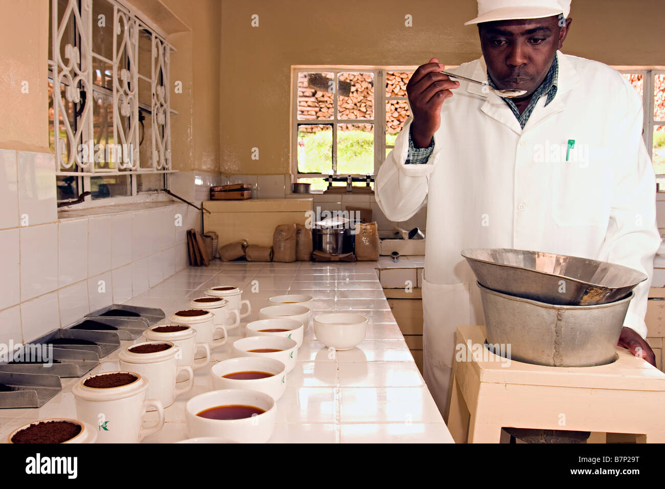 Kenya tea industry hi-res stock photography and images - Alamy