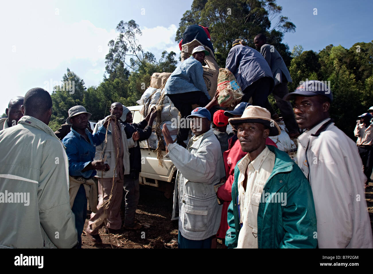 Miraa hi-res stock photography and images - Alamy