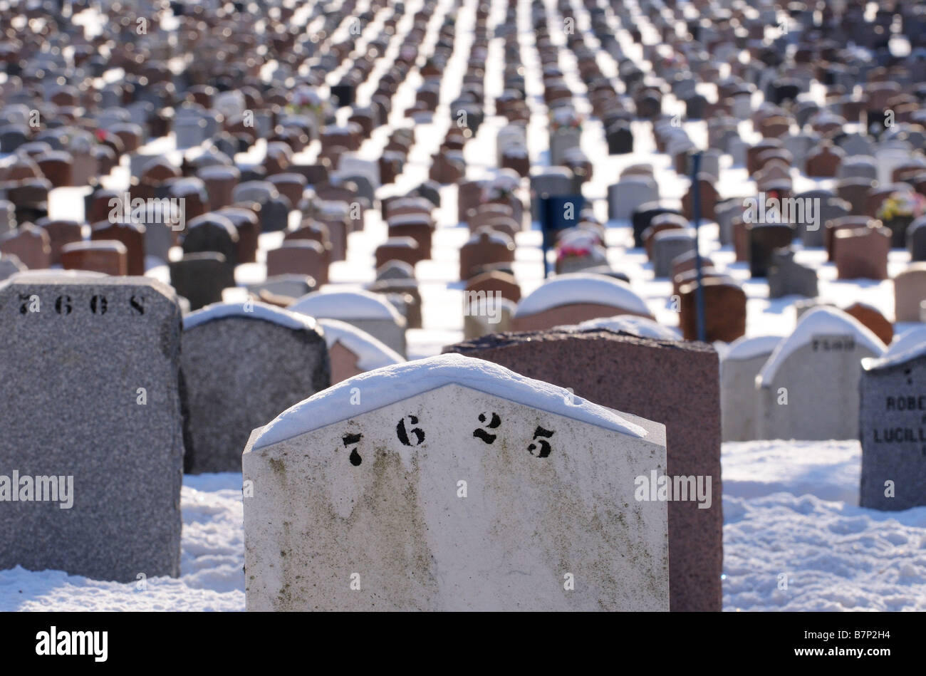 Cemetery headstones, tombstones, aligned and casting a perfect shadow ...