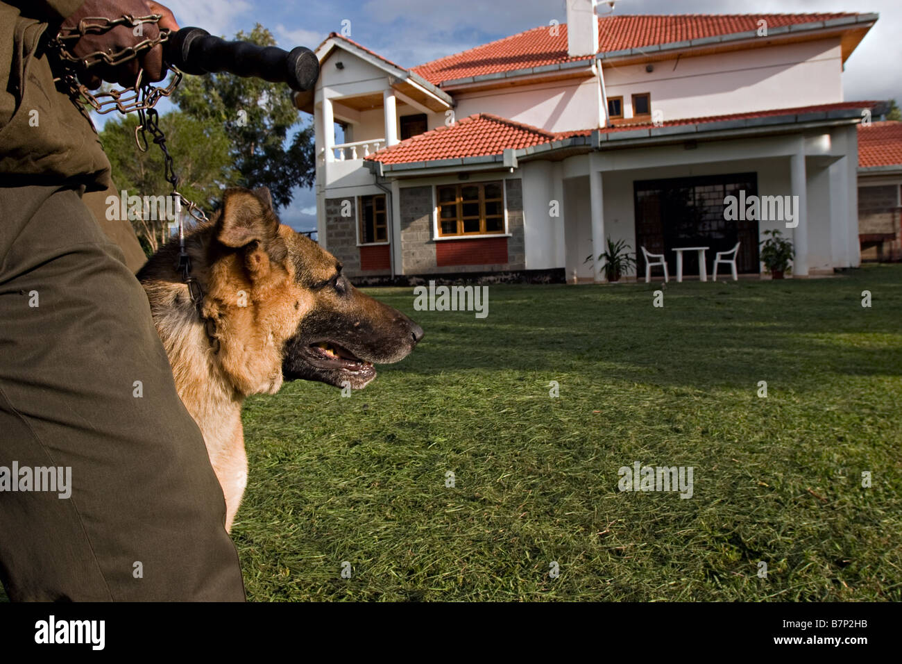 A security guard patrolling the compound of a house with a trained ...