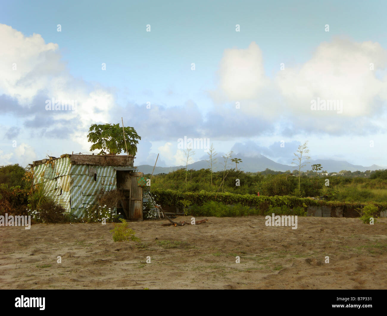 Green mauritius hi-res stock photography and images - Alamy