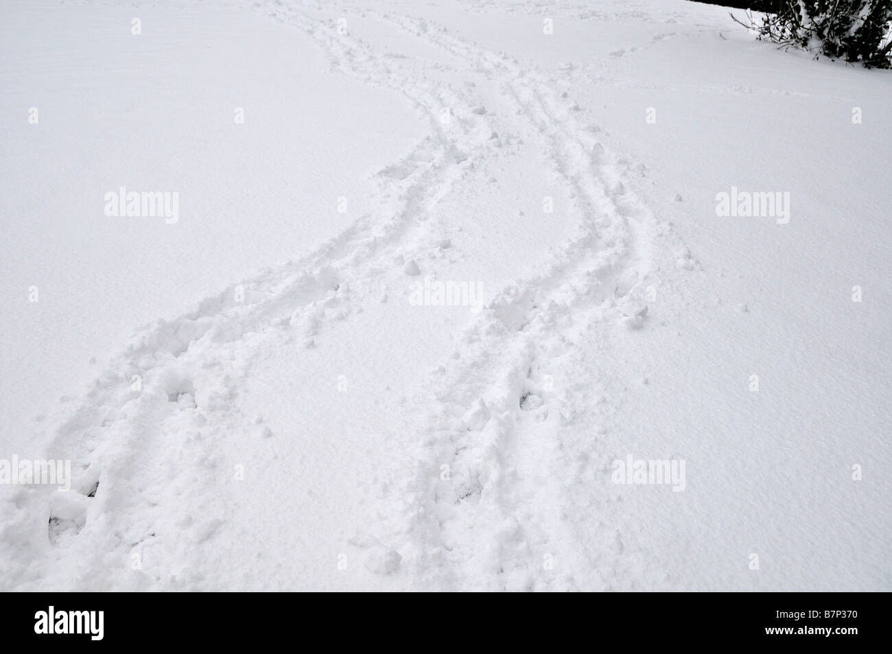 tracks in the snow Stock Photo - Alamy
