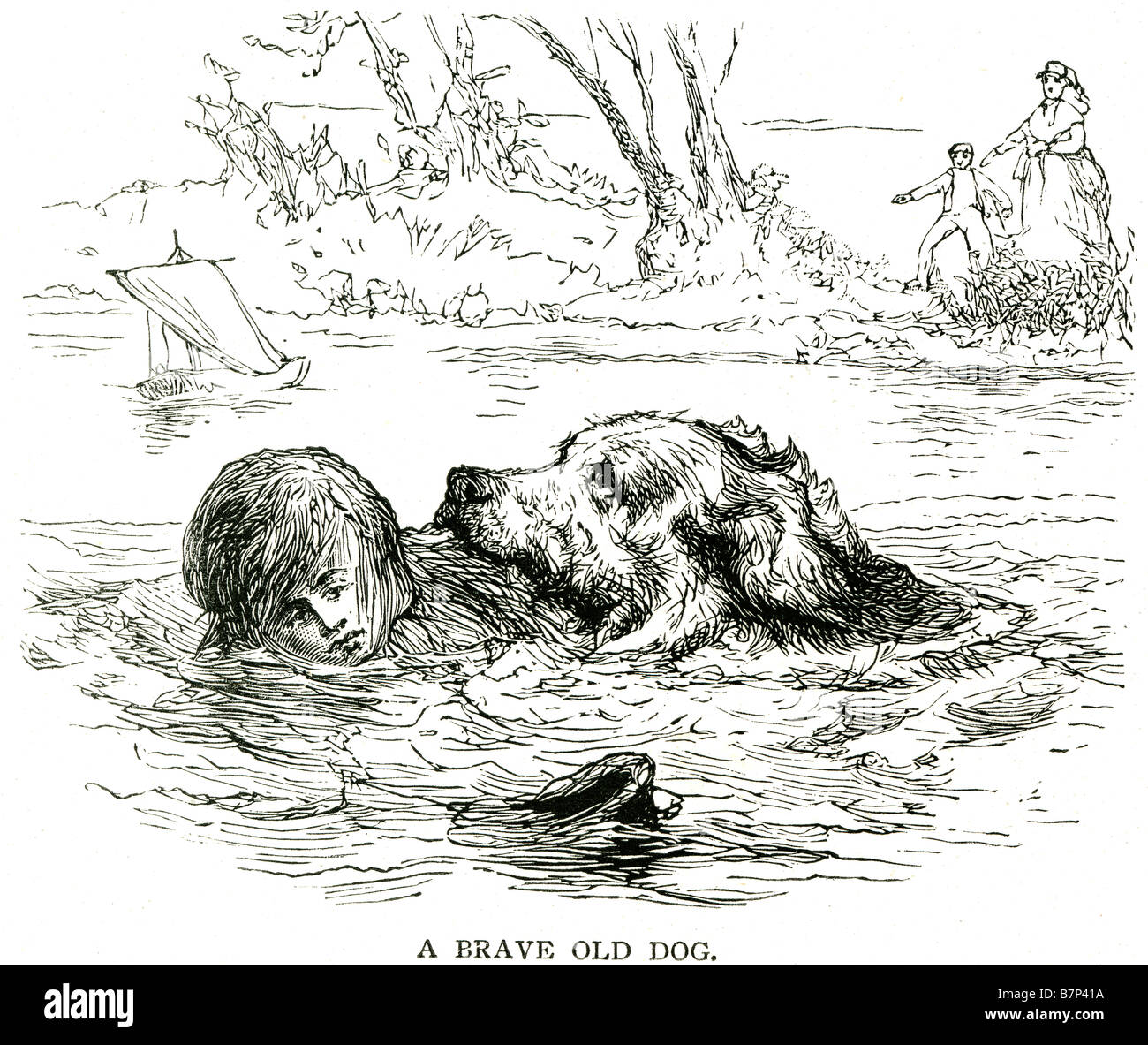 Boy drawing dog hi-res stock photography and images - Alamy