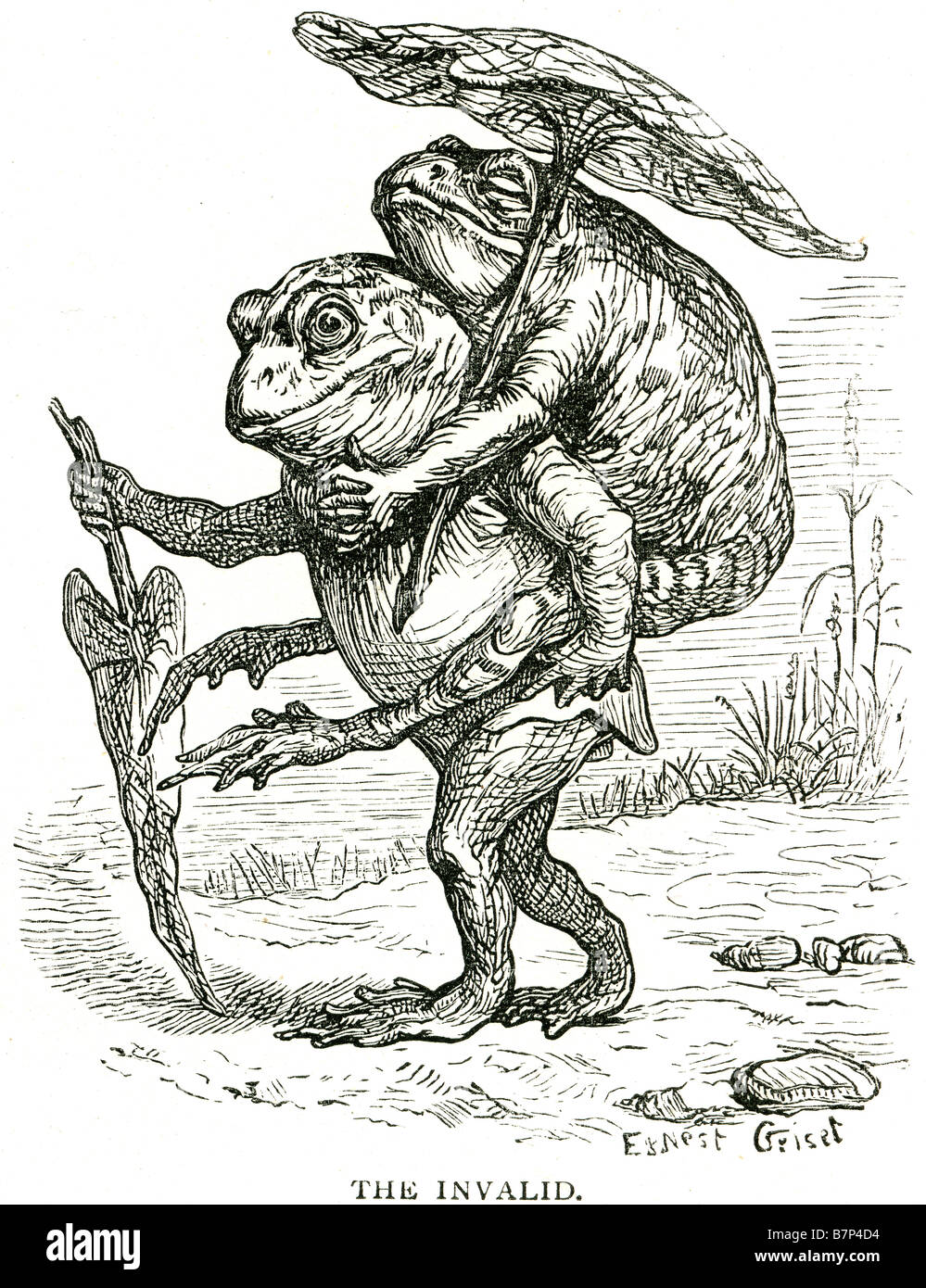 invalid toad frog umbrella walk stroll pond help cartoon fantasy ...