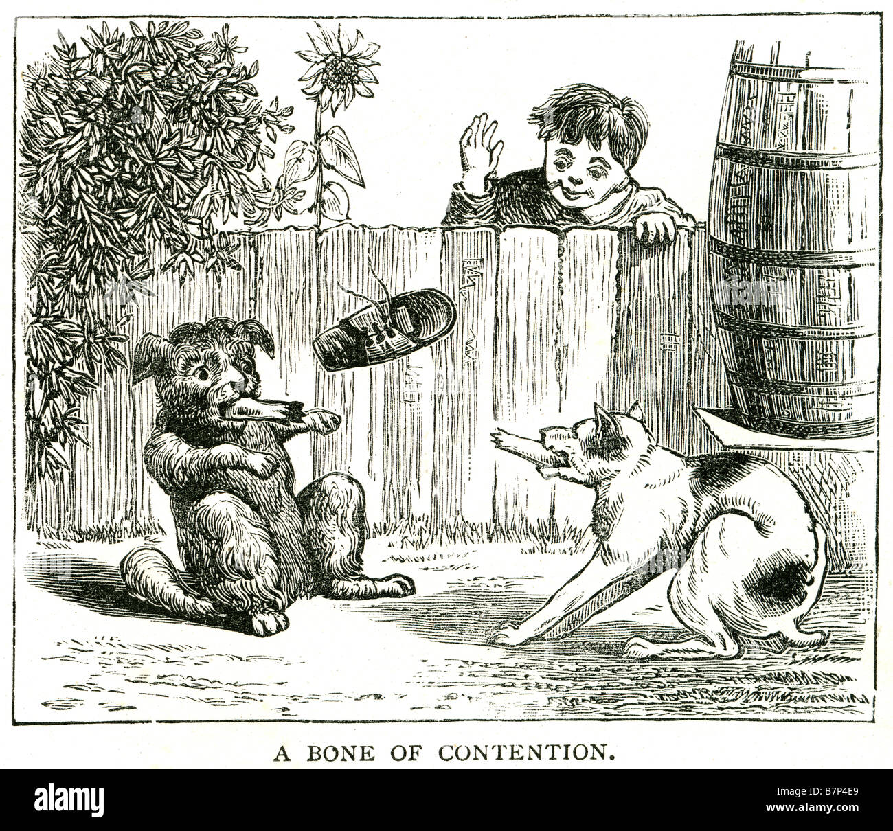 Contention Clipart Flowers