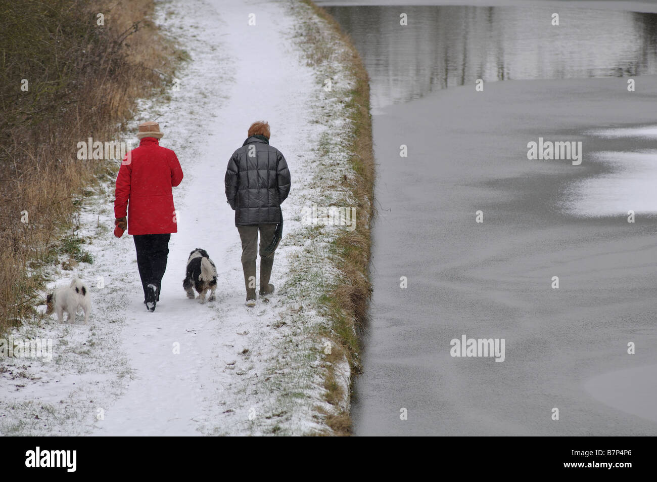 Snow walk with dog uk hi-res stock photography and images - Alamy