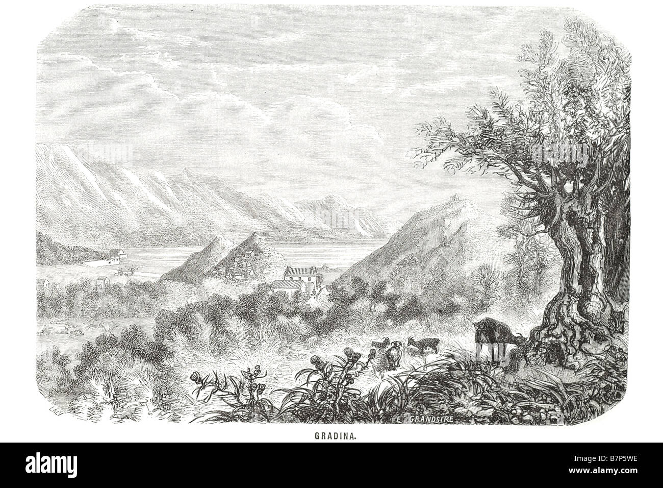 Gradina landscape town village animals hills travel trade farming home ...