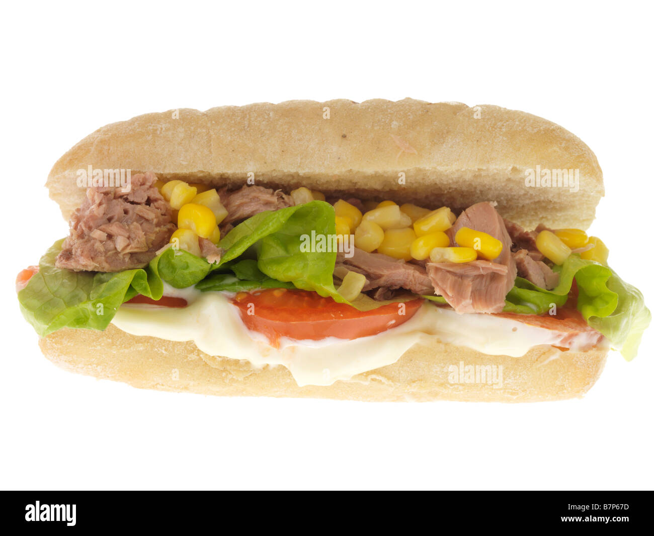 Tuna Fish Panini Stock Photo - Alamy