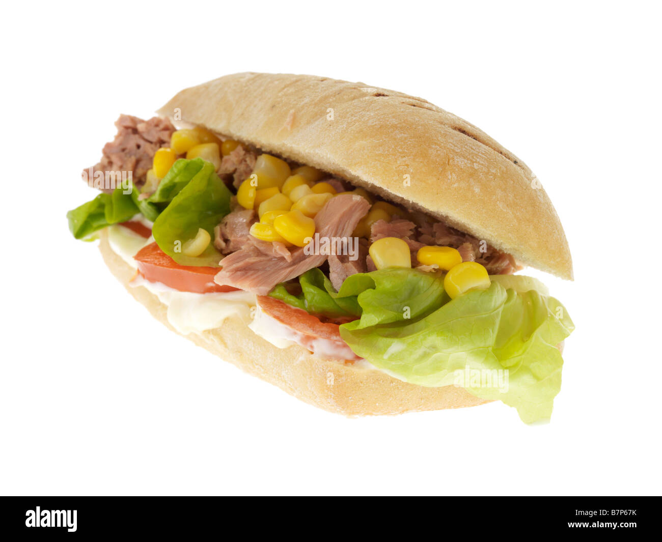 Tuna Fish Panini Stock Photo - Alamy