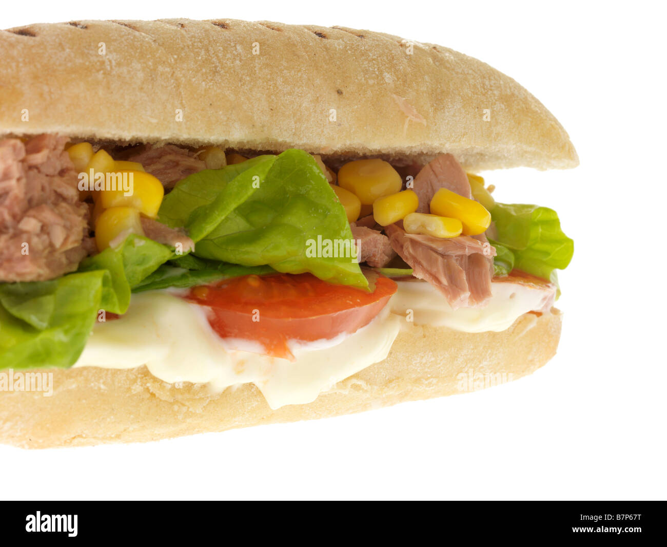 Tuna Fish Panini Stock Photo - Alamy