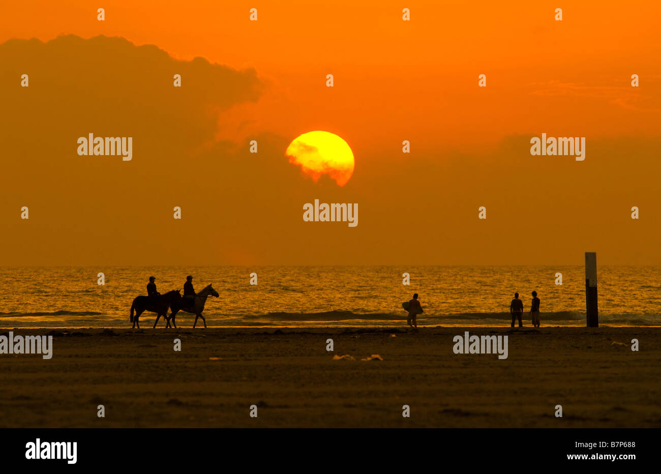 horseback riding on a beautiful night in the netherlands Stock Photo ...