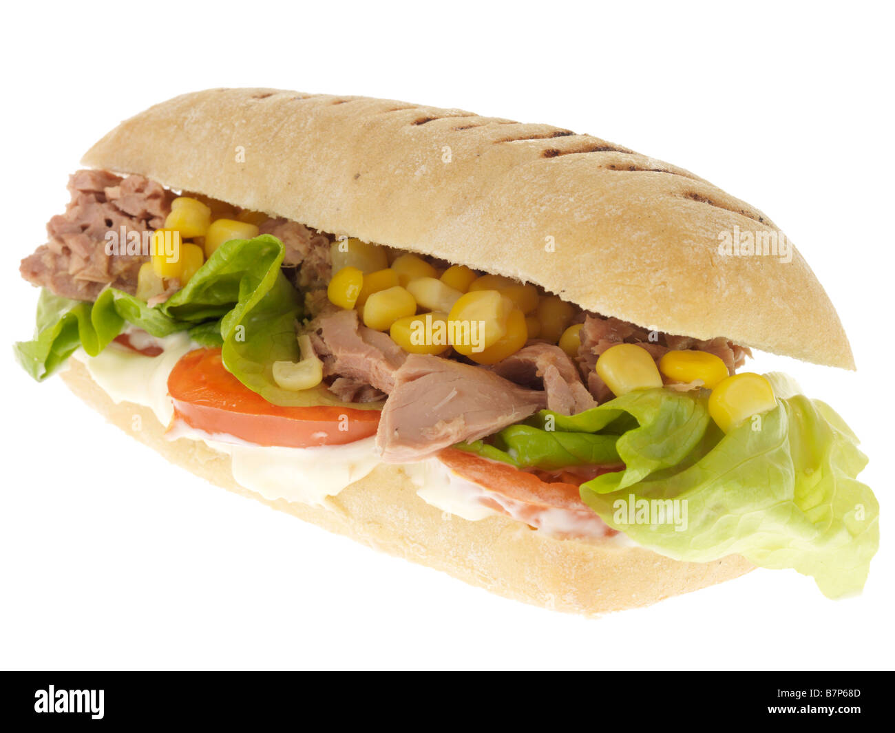 Tuna Fish Panini Stock Photo - Alamy
