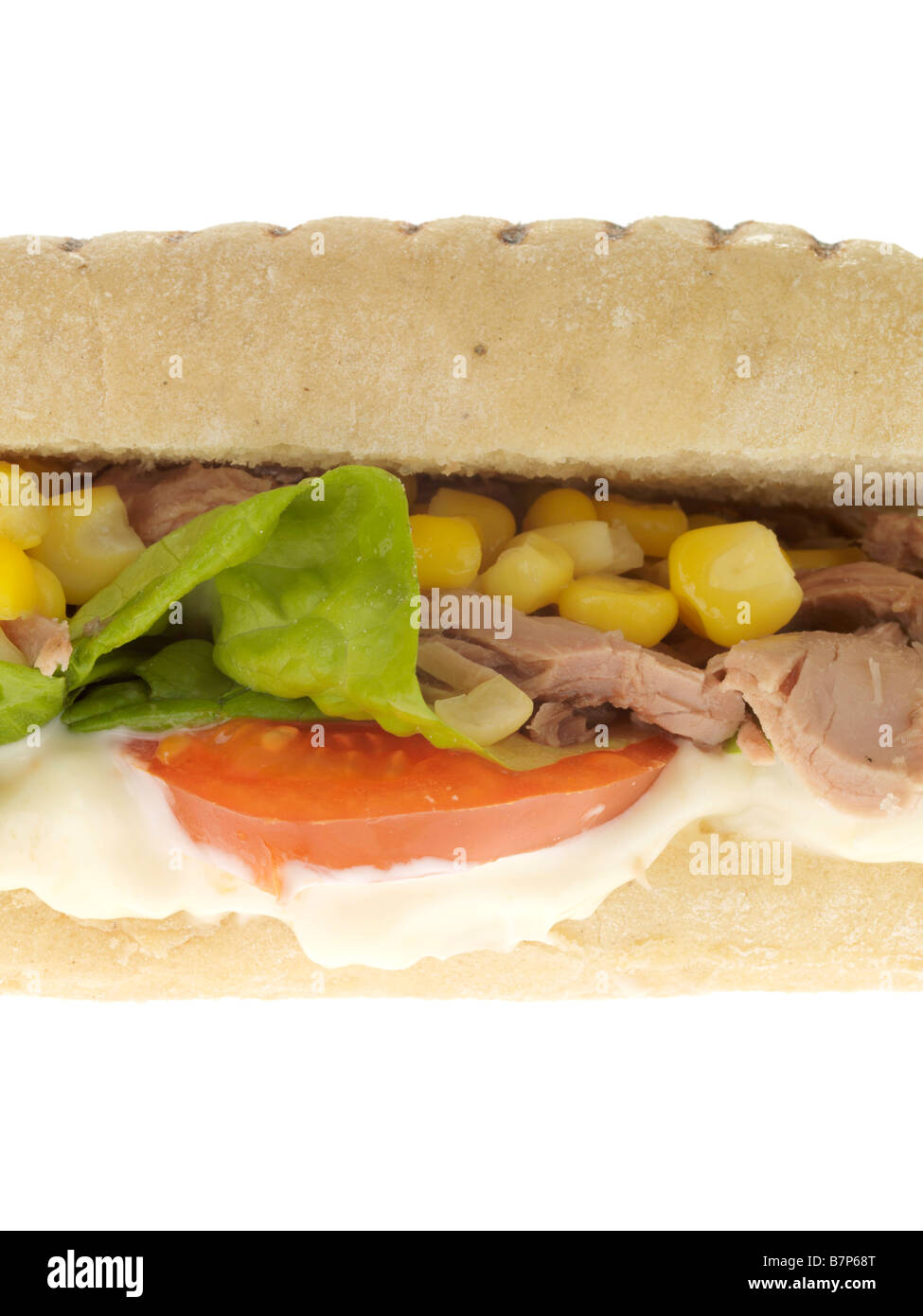 Tuna Fish Panini Stock Photo - Alamy