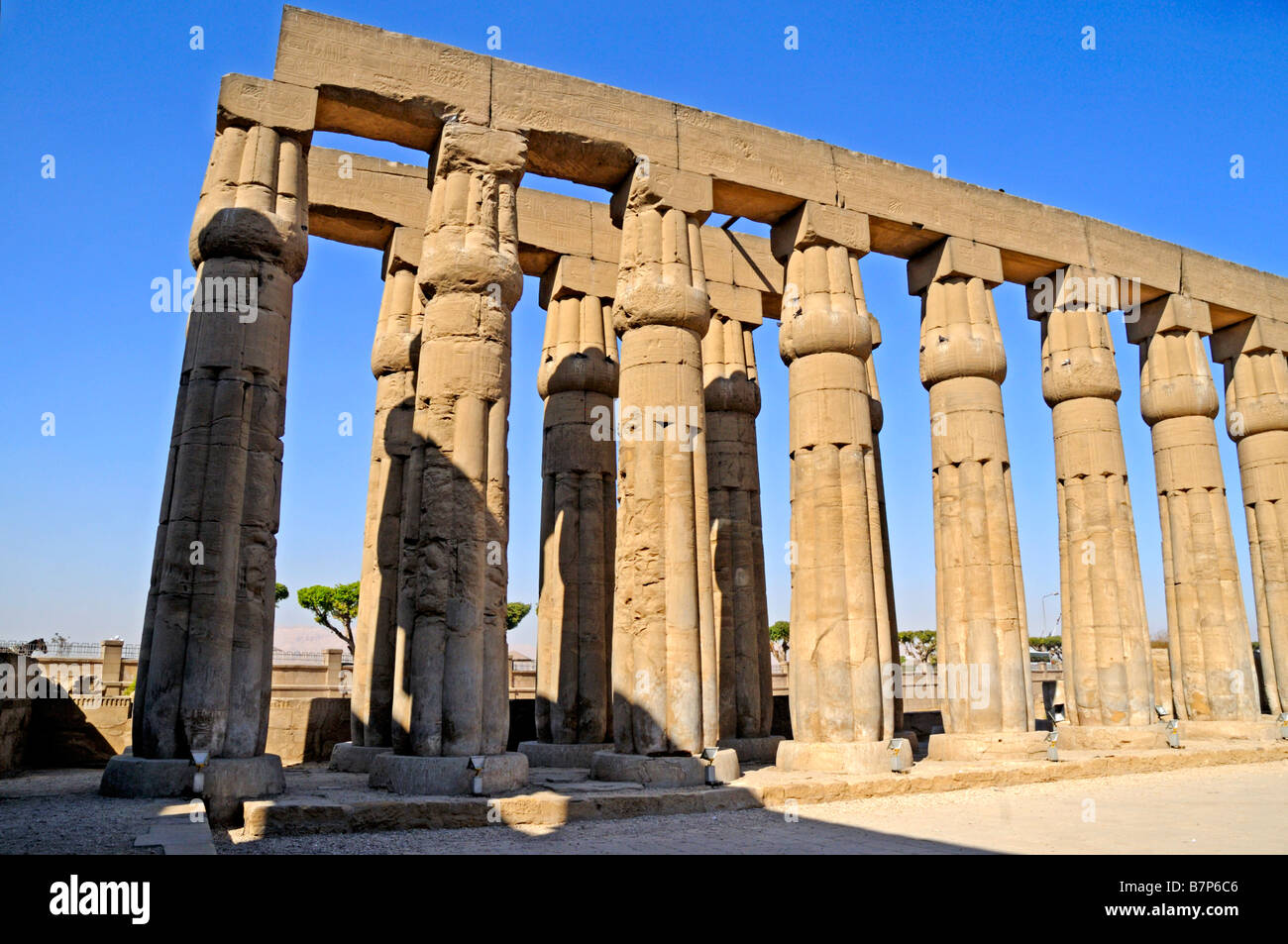 Lotus bud columns in the Temple Complex at Luxor in Egypt Stock Photo ...