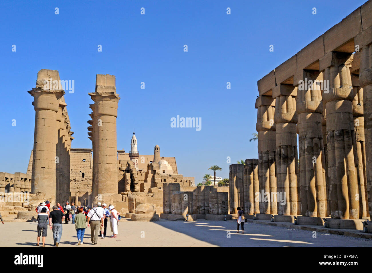 Lotus bud columns in the Temple Complex at Luxor in Egypt Stock Photo ...