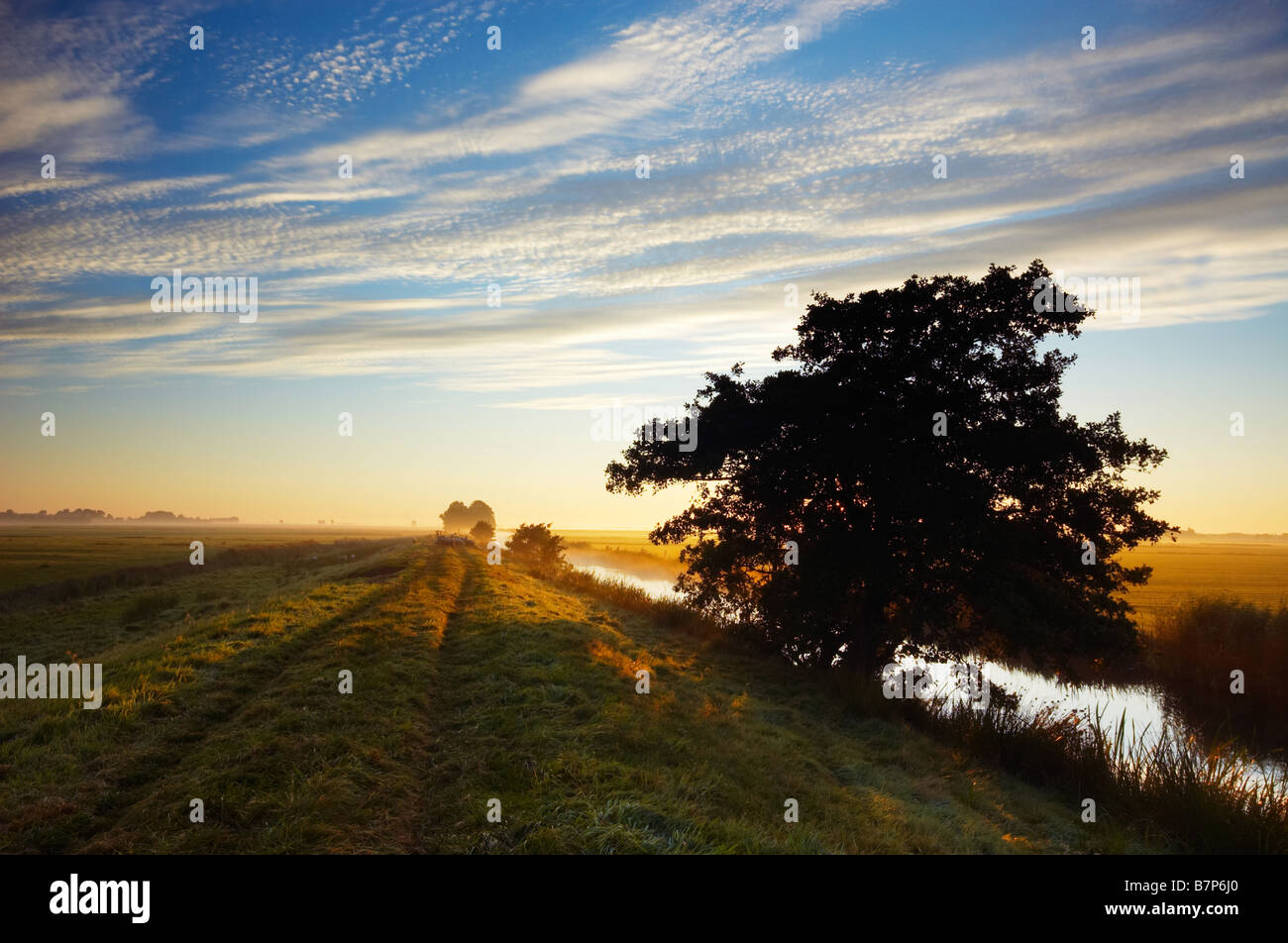 beautiful autumn landscape early in the morning Stock Photo - Alamy