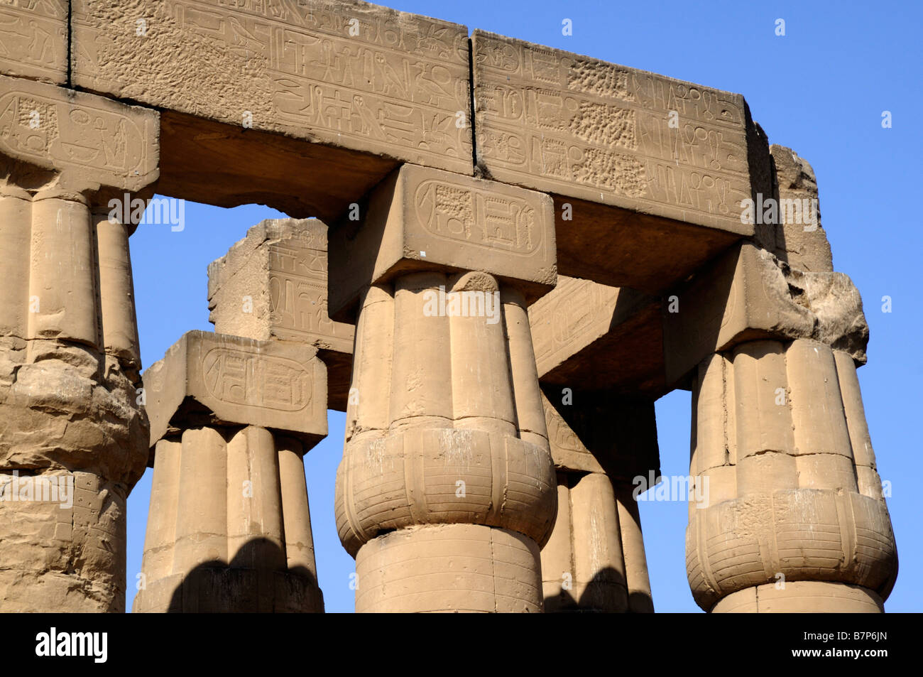 Lotus bud columns in the Temple Complex at Luxor in Egypt Stock Photo ...