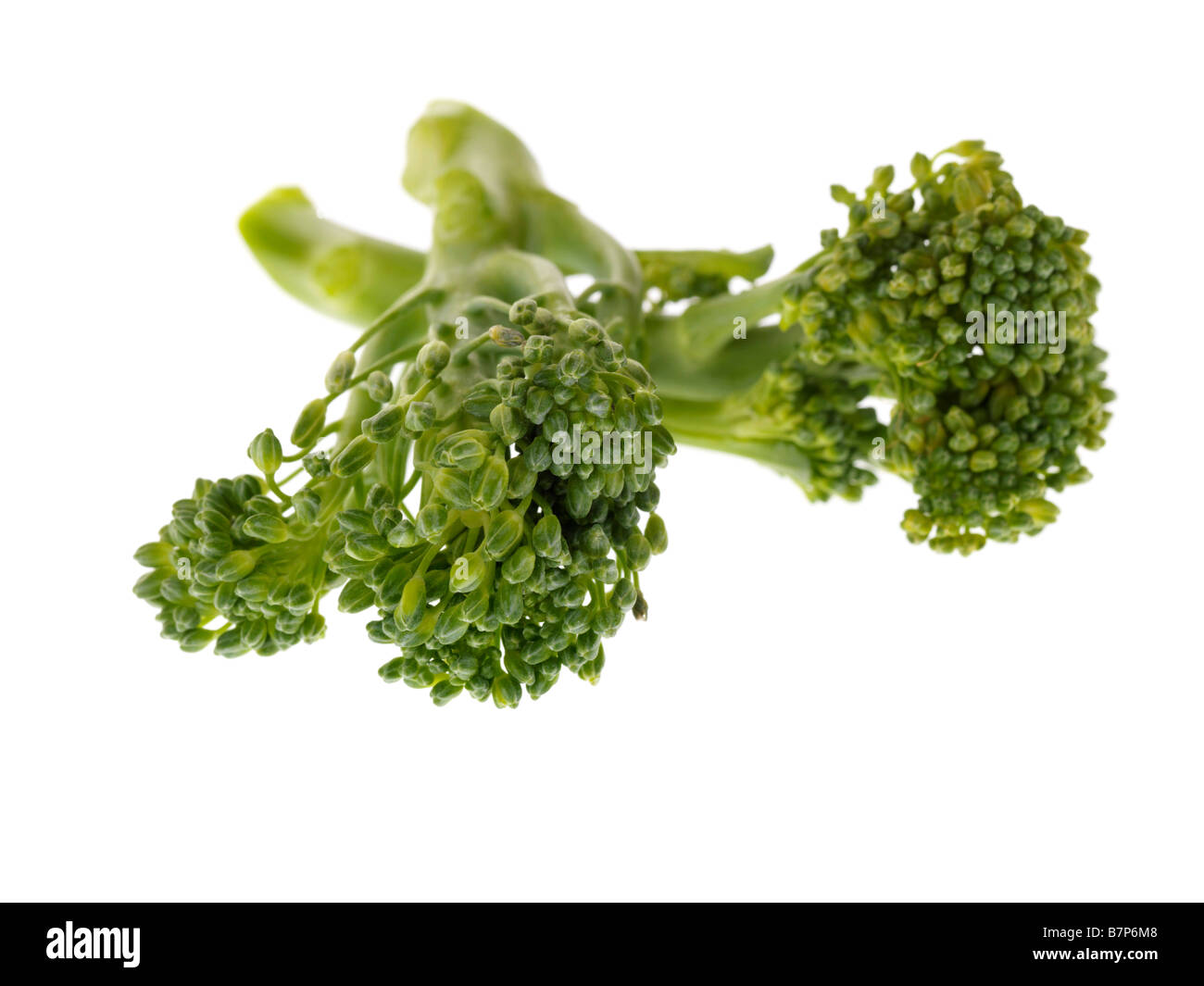 Tenderstem broccoli vegetables hi-res stock photography and images - Alamy