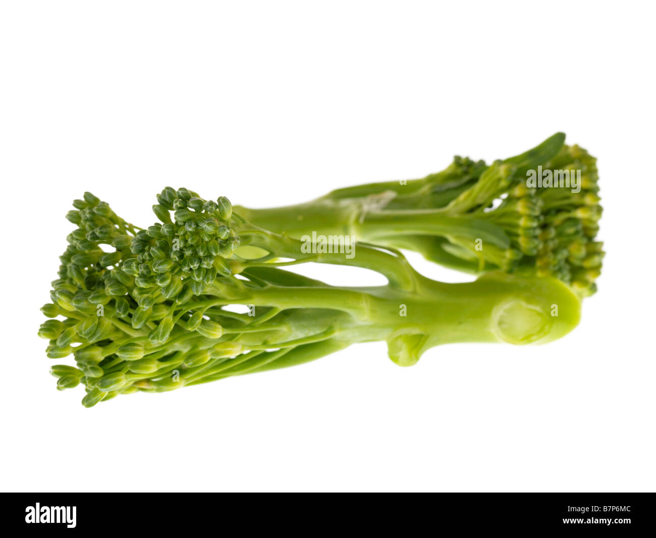 Tenderstem Broccoli High Resolution Stock Photography and Images - Alamy