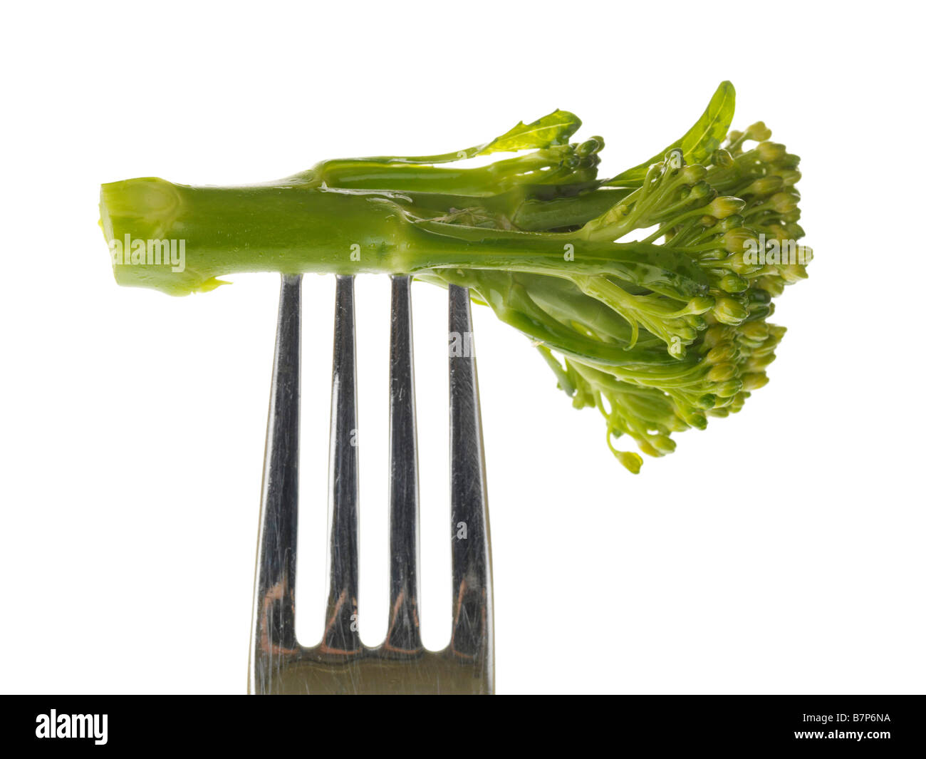 Fresh Organic Grown Tender Stem Broccoli Vegetable Against A White ...