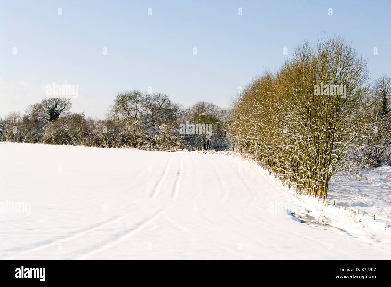 Snow Covered Field Bordered By Trees at the Top Of Reigate Hill Surrey ...