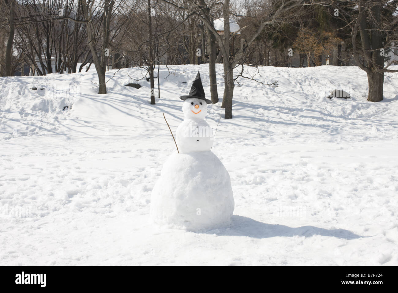 Dead snowman hi-res stock photography and images - Alamy