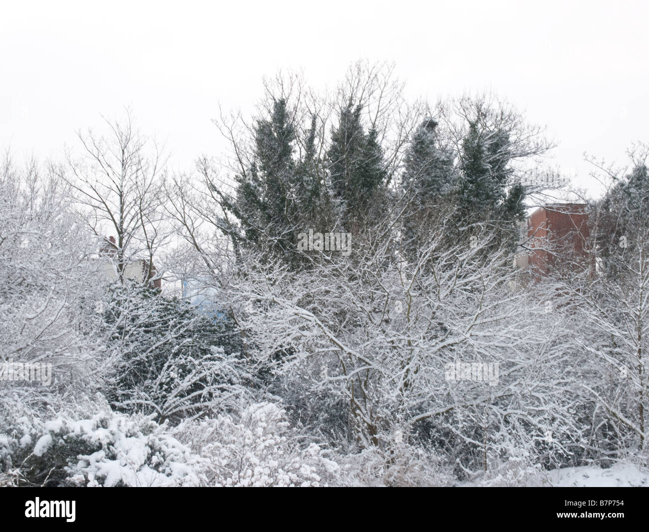 london life. January Snow, 2009 Stock Photo - Alamy